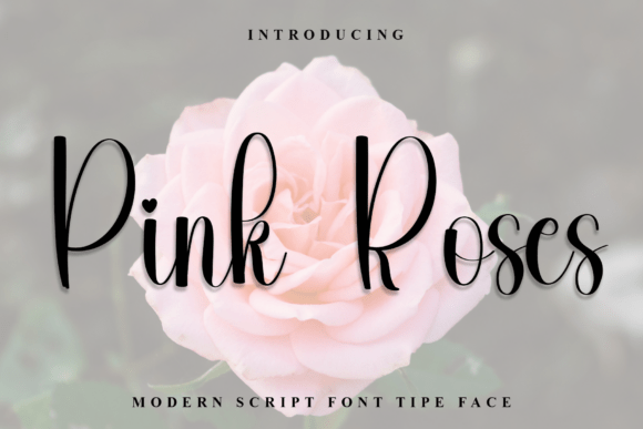 Pink Roses Font Fonts Free Downloads