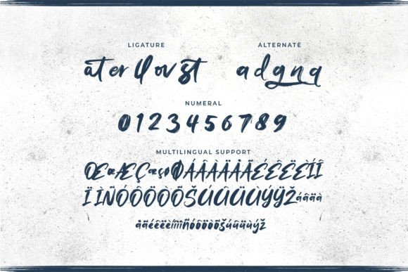 Riponlight Font Fonts Free Downloads