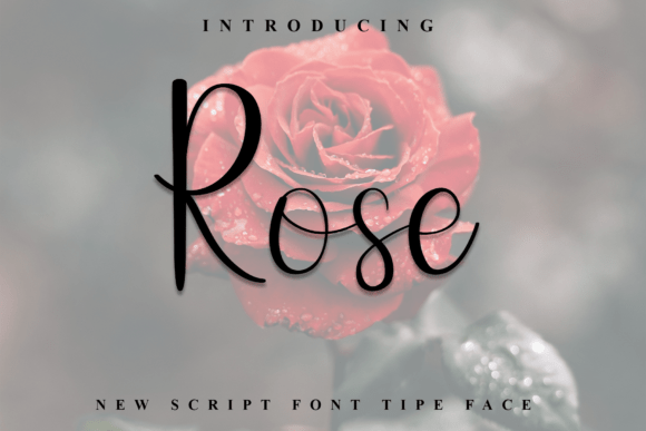 Rose Font Fonts Free Downloads