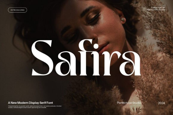 Safira Font Fonts Free Downloads