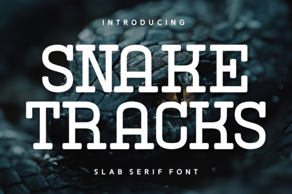 Snake Tracks Font Fonts Free Downloads